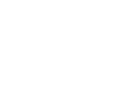 The winners of BFMC 2025 - Bosch Future Mobility Challenge